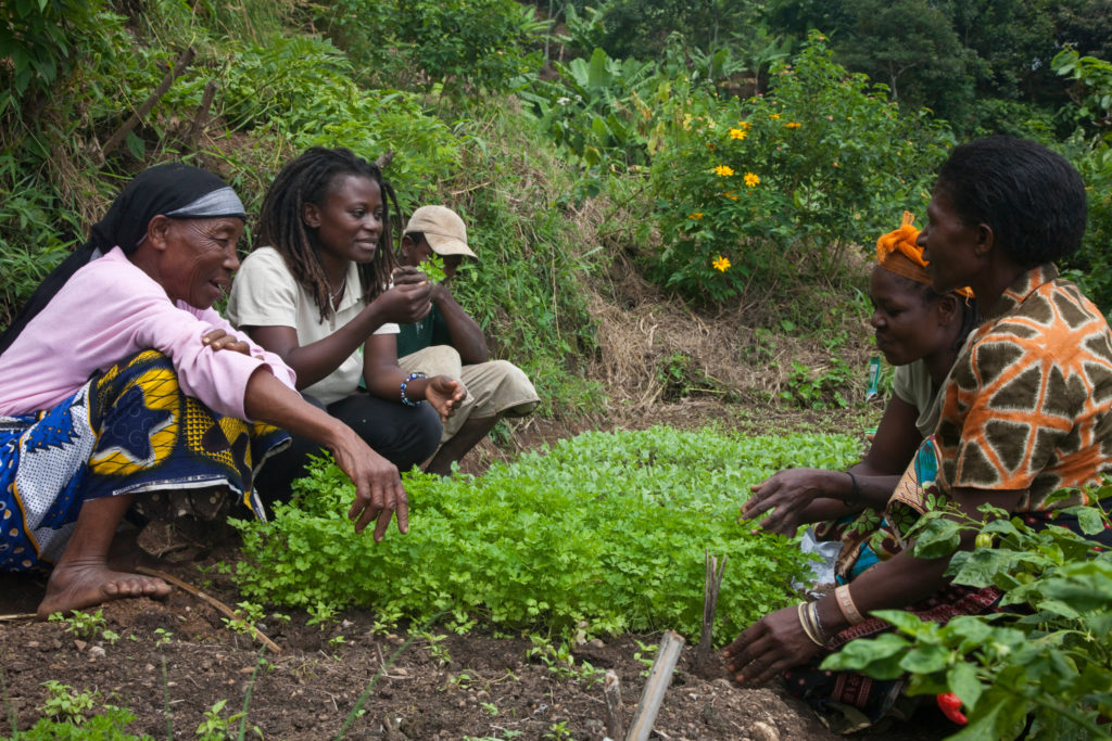 Agroecology helps against climate change