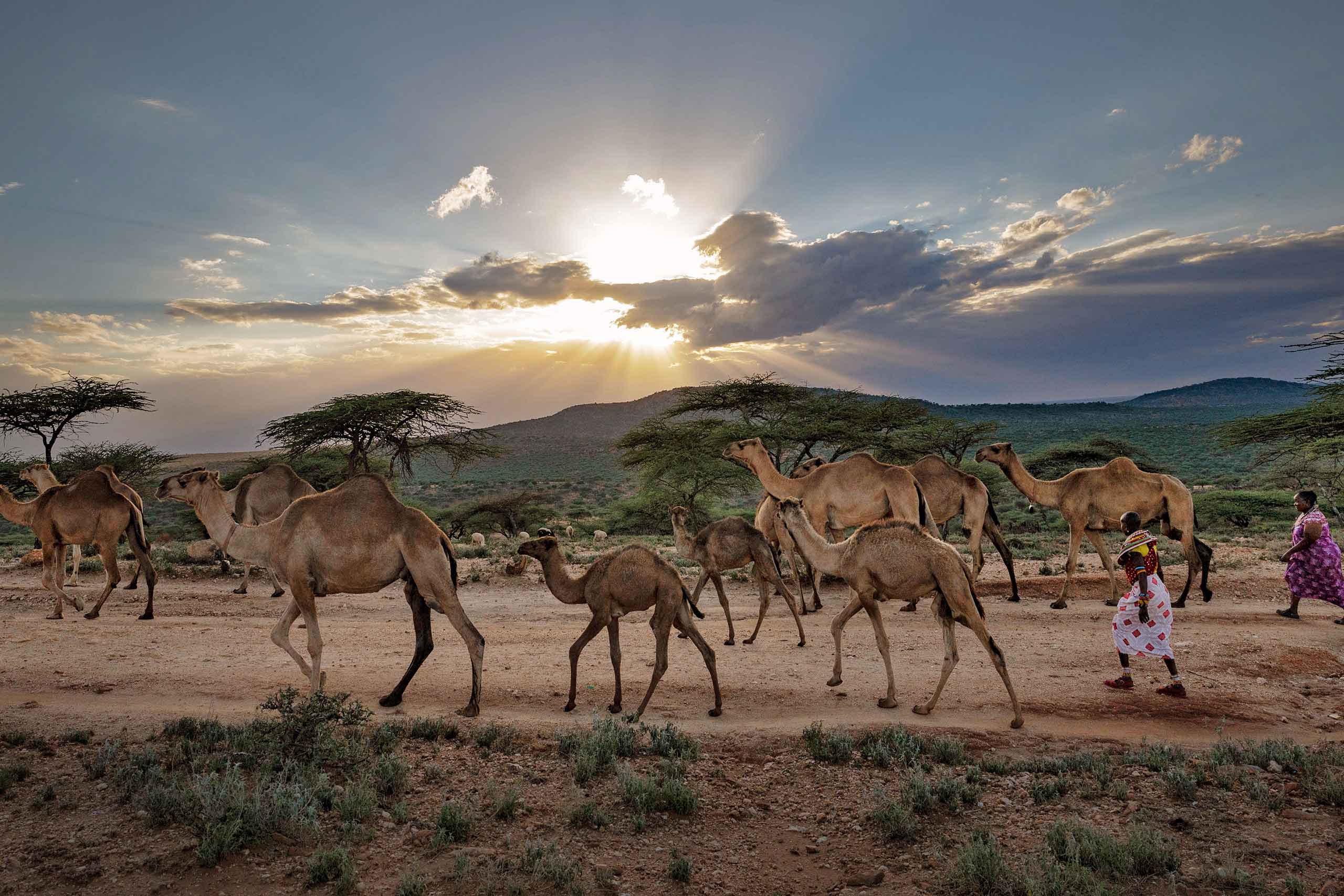 Home | Biovision – Foundation for Ecological Development