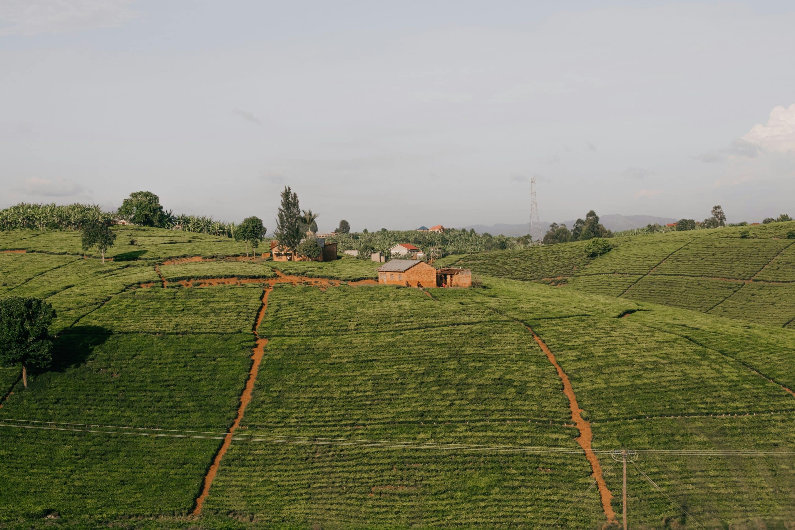 Integrated Sustainable Development (iSDG) Simulator | Biovision ...
